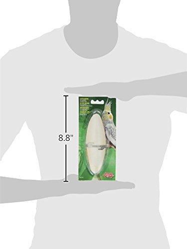 Living World Cuttlebone with Holder for Cage Bird, 6 to7-Inch, Large ...